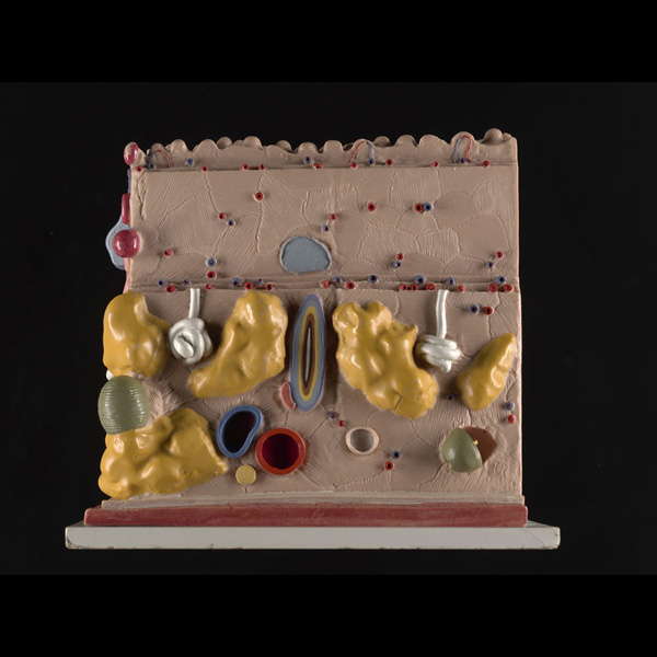 Anatomical Models | University Libraries | University of Nevada, Reno