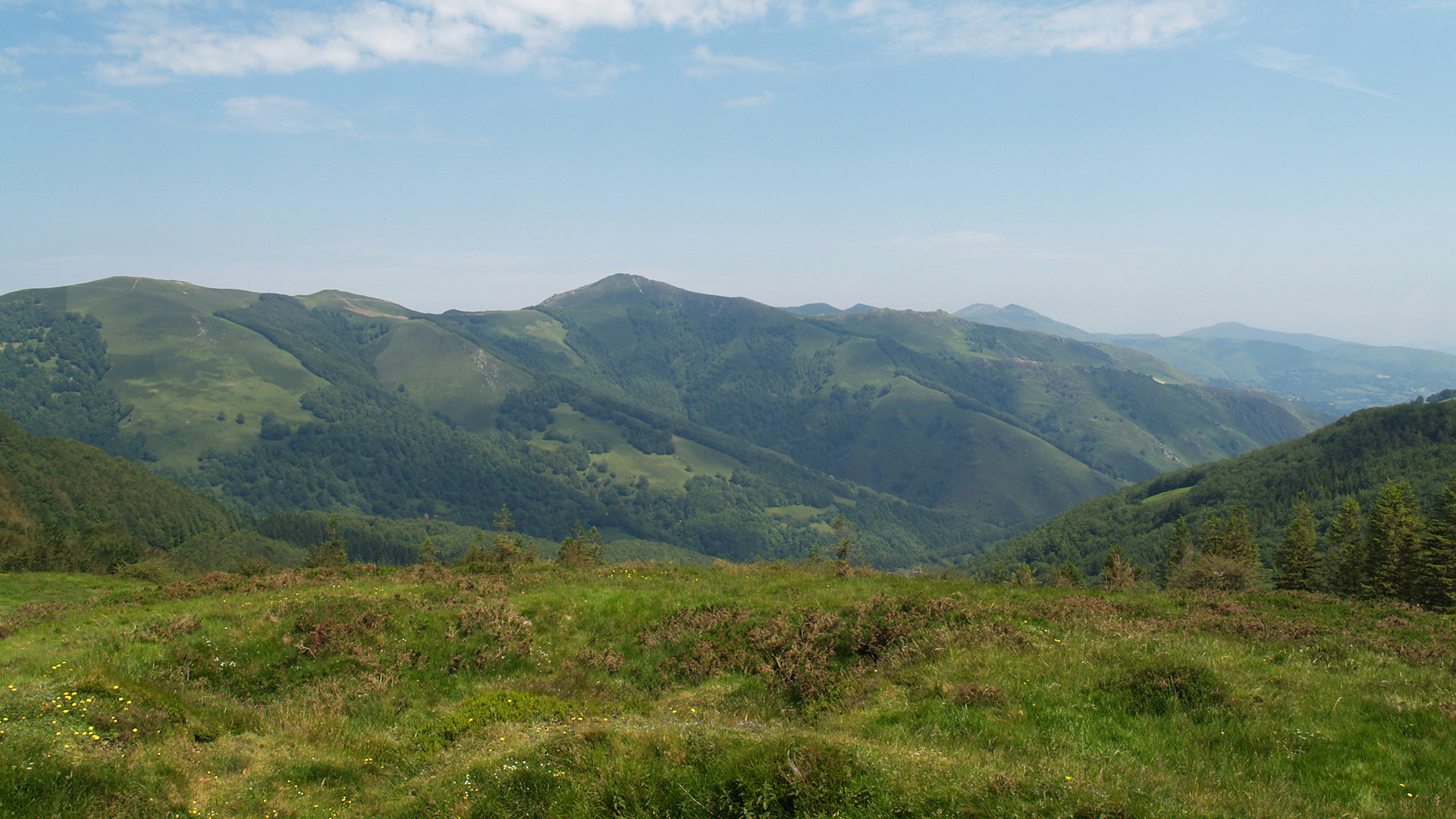 The Paderborn Diet | University Libraries | University of Nevada, Reno